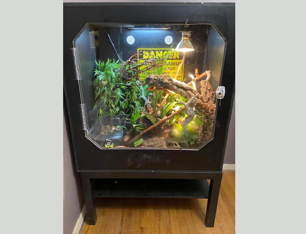 PVC Reptile Enclosures – Cryptic Creations