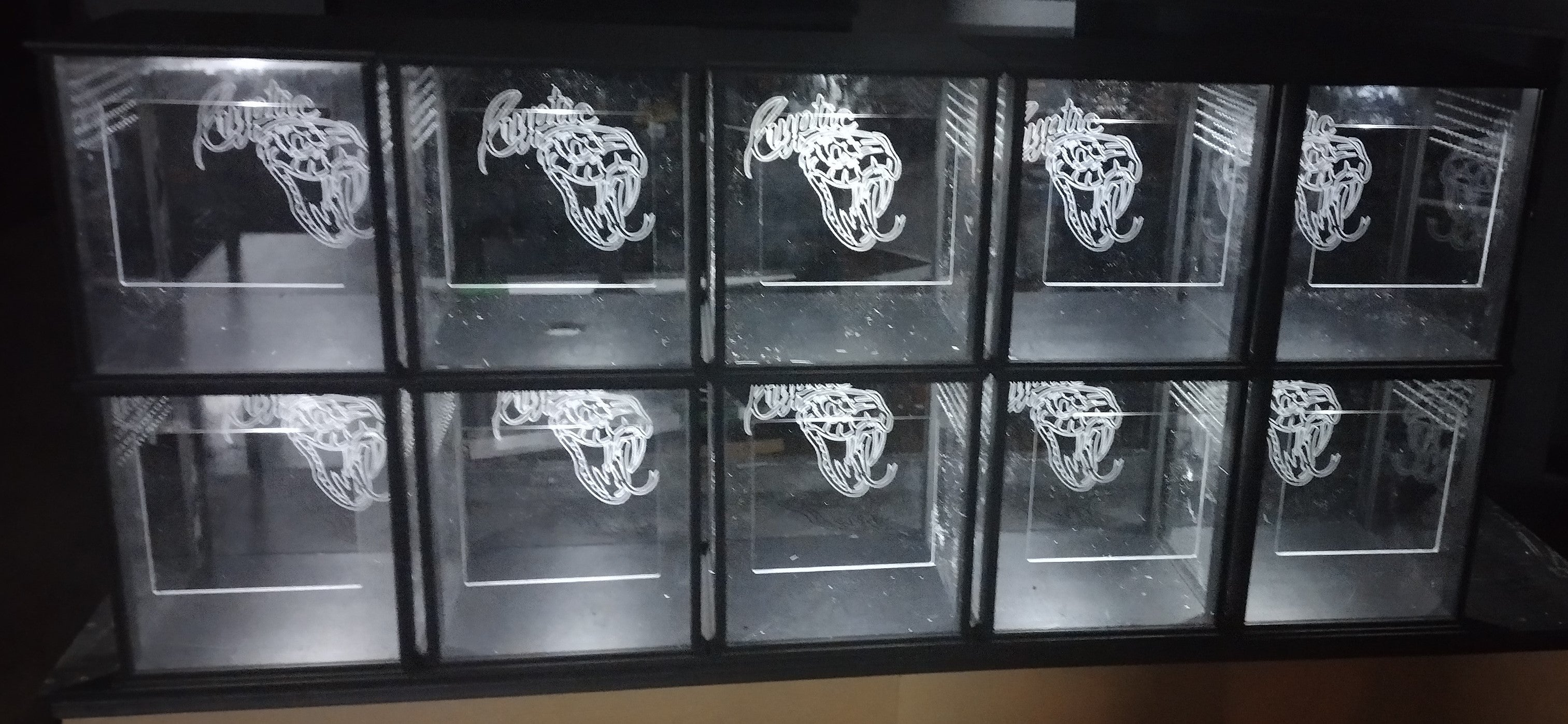 Acrylic Enclosures – Cryptic Creations