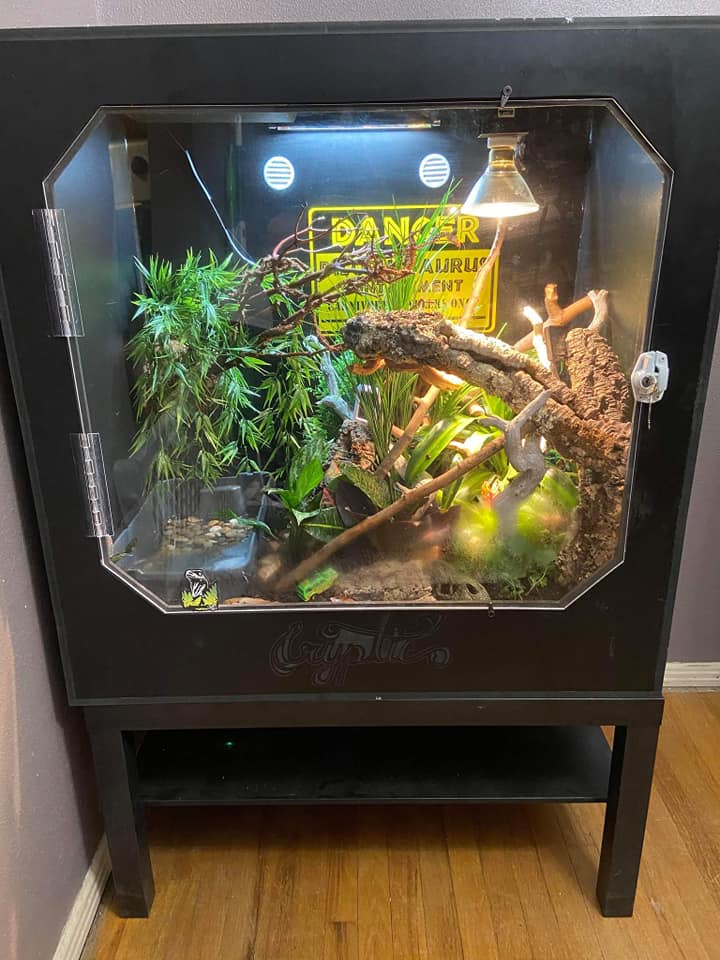 3-Foot Wide Terrestrial PVC Enclosures – Cryptic Creations